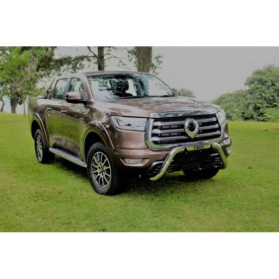 GWM P-SERIES 2021+ CHROME NUDGE BAR – Autostyling Klerksdorp